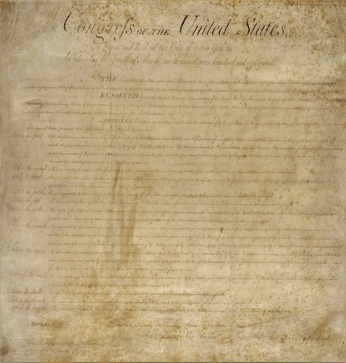 The Second Amendment Episode | Rothermere American Institute