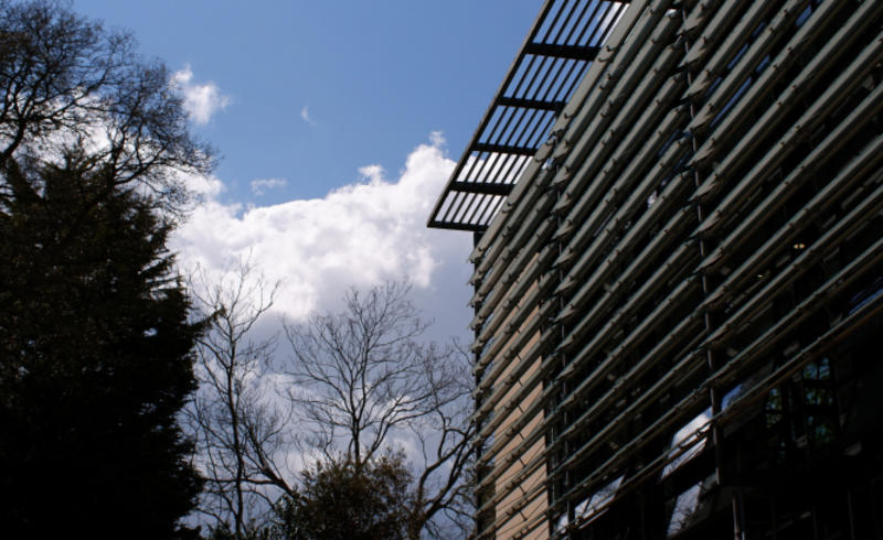 RAI Building | Rothermere American Institute